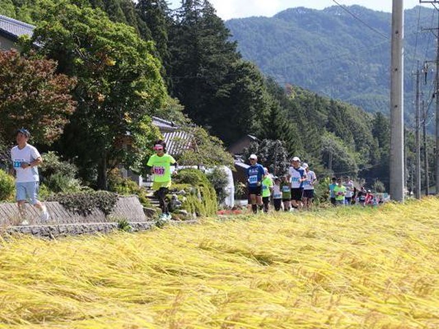 第7回信州駒ヶ根ハーフマラソン 受付中（RUNNET）