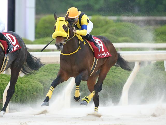 【園田・兵庫CS結果】JRAバーナードループが一騎打ちを制し3連勝で重賞初V（netkeiba）