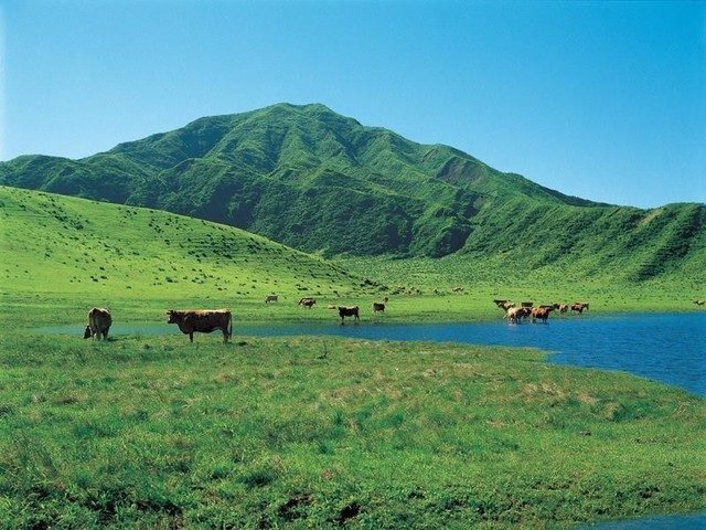 熊本県のランニングコース3撰（RUNNET）