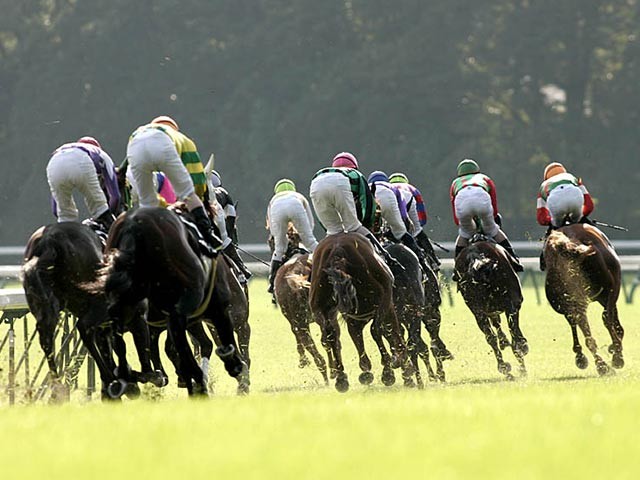 【JRA】第3回東京開催、第4回中京開催での入場も指定席の購入者限定（netkeiba）