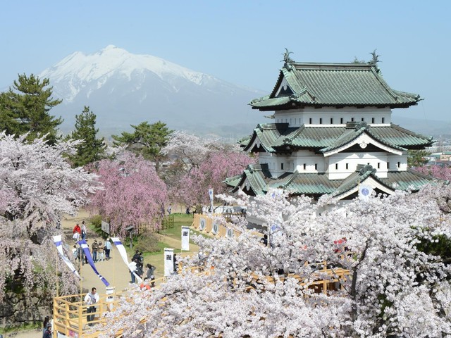 青森県のランニングコース5撰（RUNNET）