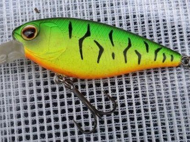 和歌山ロコ・三浦一真の溺愛ルアー「SC63F」！（ルアーニュースR）