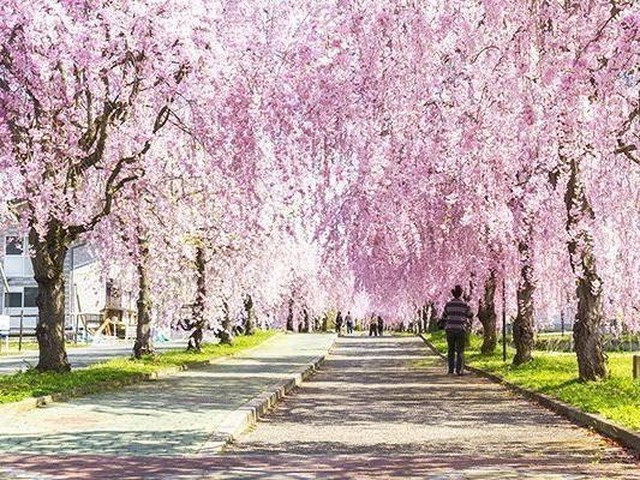 鉄道の廃線跡コースを走ろう（RUNNET）