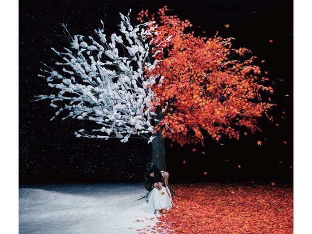 Aimer、11月ニューシングル発売決定（Billboard JAPAN NEWS）