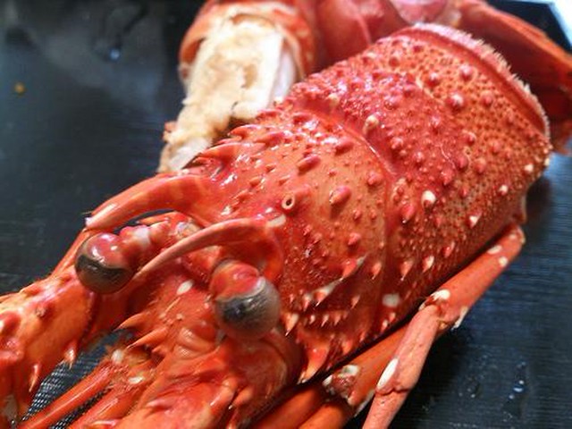 あなたの地元は？ ご当地おせち・正月料理【西日本編】（Jタウンネット）