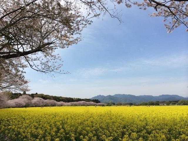 宮崎のランニングコース5撰（RUNNET）