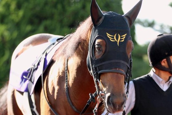 【WIN5予想】フェブラリーSはコース適性を重視したい（netkeiba）