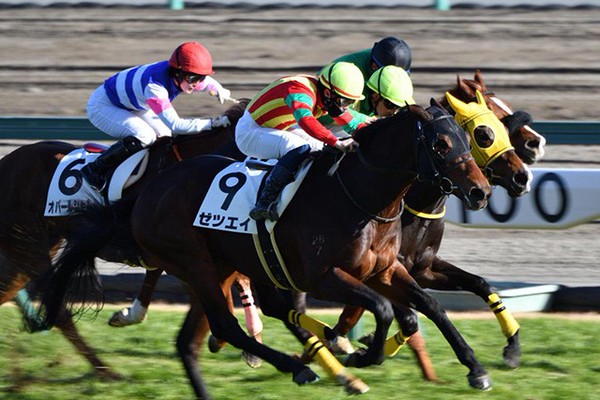 【JRA】小倉10Rでゼツエイが死亡、8Rでハクアイオウが予後不良に（netkeiba）