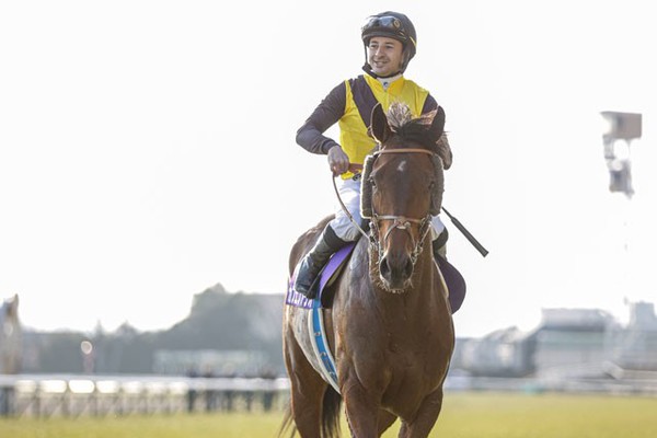 JRAはGIII函館2歳S・函館記念・中京記念、地方ではJpnIジャパンダートダービーに注目/今週の競馬界の見どころ（netkeiba）