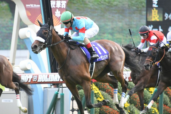 【ジャパンC】アーモンドアイは22日に計量し484kg/JRA重賞調教後馬体重（netkeiba）