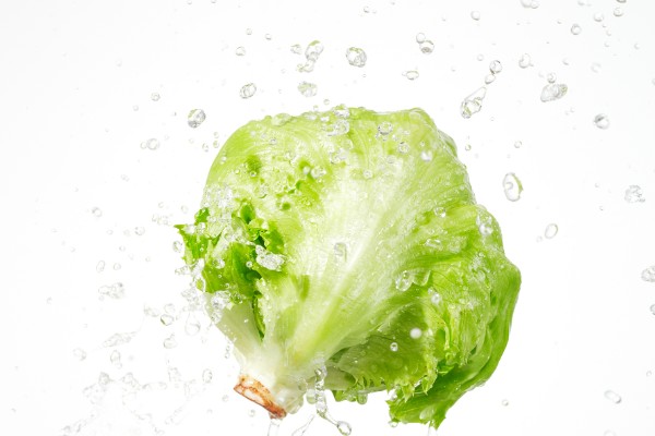 レタスをシャキっとさせる「50℃洗い」とは？（HALMEK up）