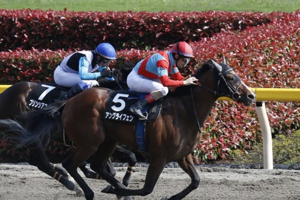 【東海S】フルゲート16頭に18頭 川崎記念・AJCC登録馬も/出走馬決定順（netkeiba）